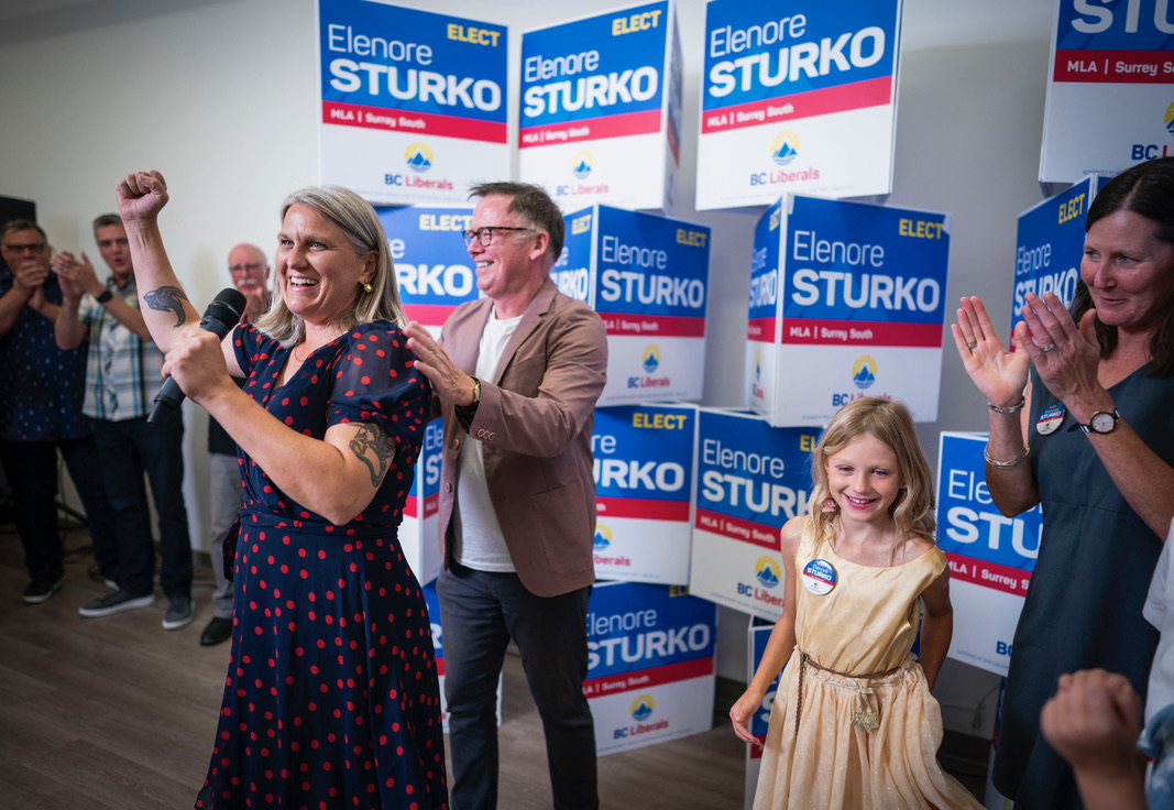 The meaning of Surrey South | Rosedeer